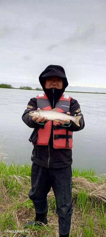 Tatil köyleri ПроЛосось, Kamçatski krayı, foto