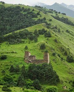 Tsei Loam Cafe (Republic of Ingushetia, 26K-015), kafe