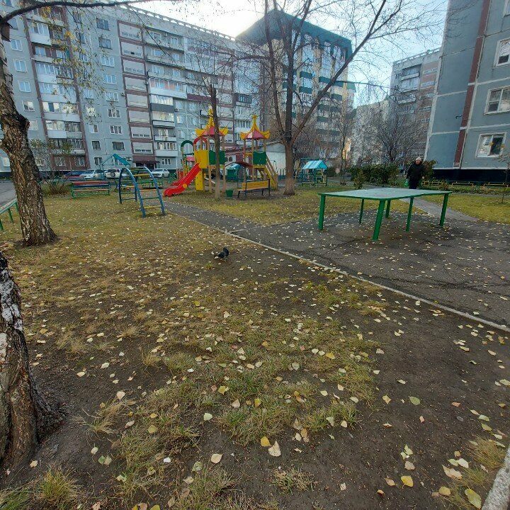 Uzman hizmetleri Автоюрист Спиридонов В. В., Novokuznetsk, foto