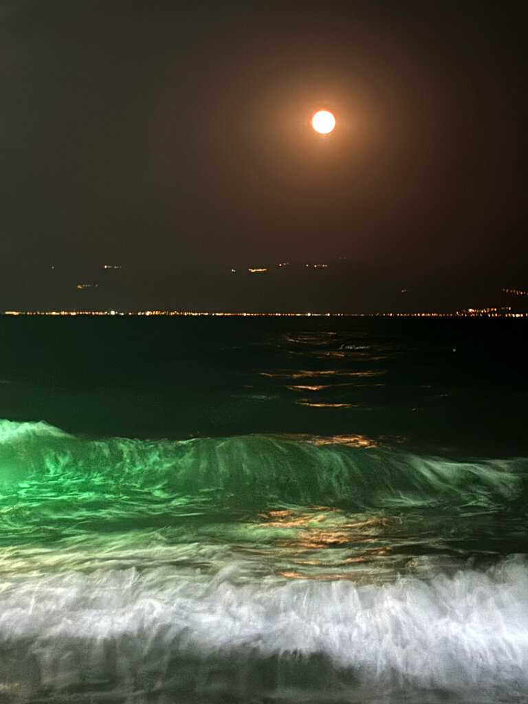 Restoran Altınoluk Balıkçısı, Edremit, foto