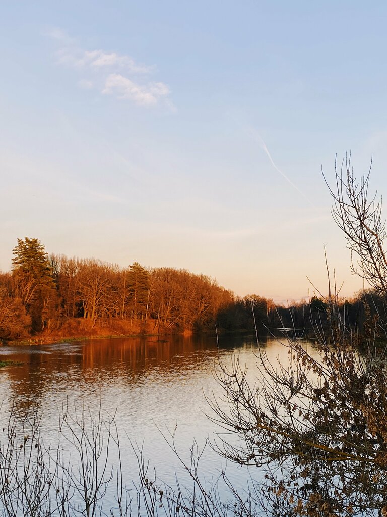 Seyir terası Observation deck, Orehovo‑Zuyevo, foto