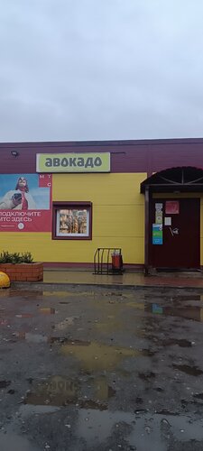 Market Avokado, Mariy El Cumhuriyeti, foto