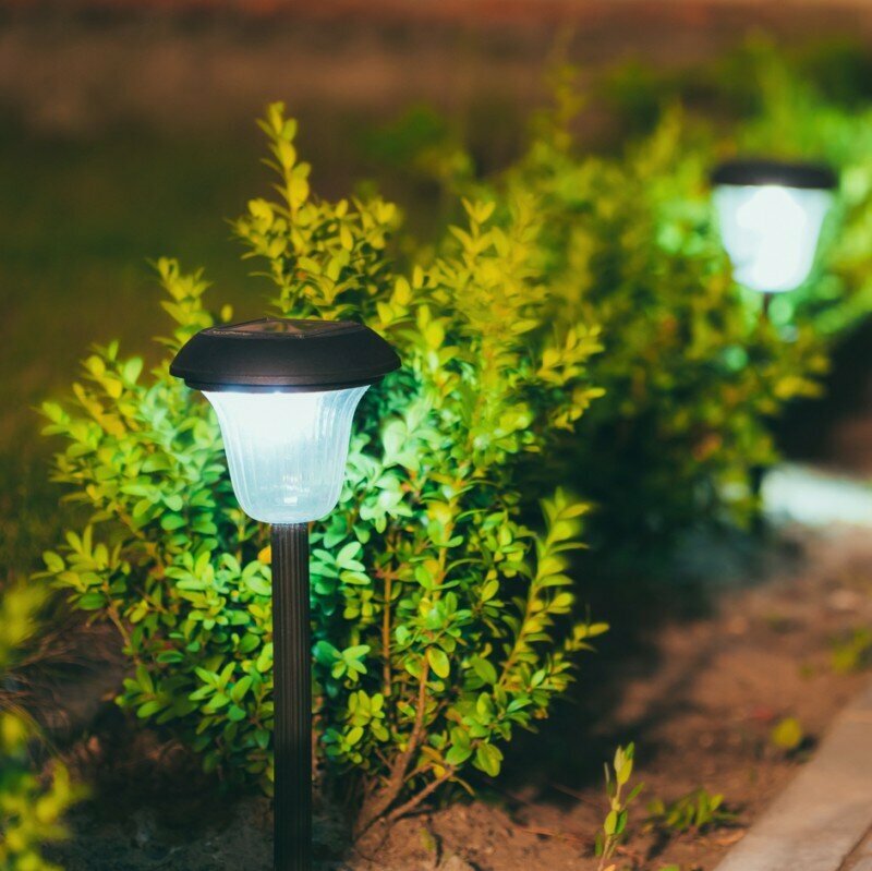 Fidan yetiştiriciliği Polat Peyzaj Fidanlığı, Silivri, foto