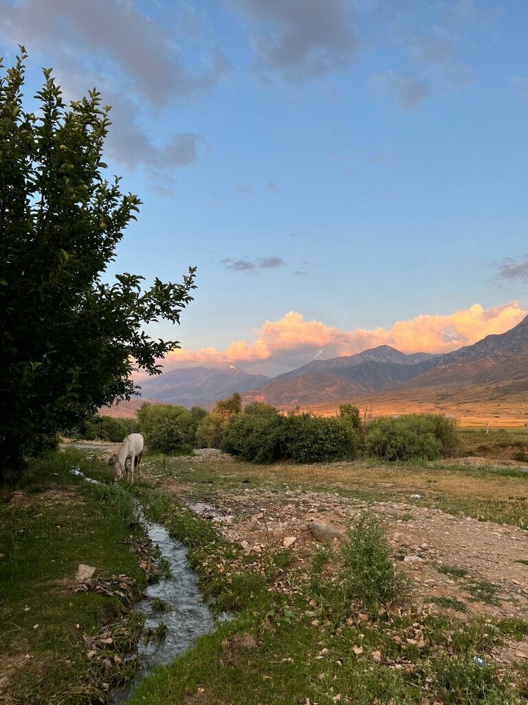 Kafe Aksu Zhabagly, Türkistan eyaleti, foto