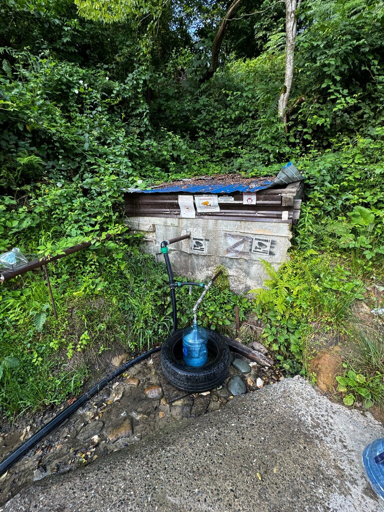 Pınar, çay Spring, stream, Soçi, foto