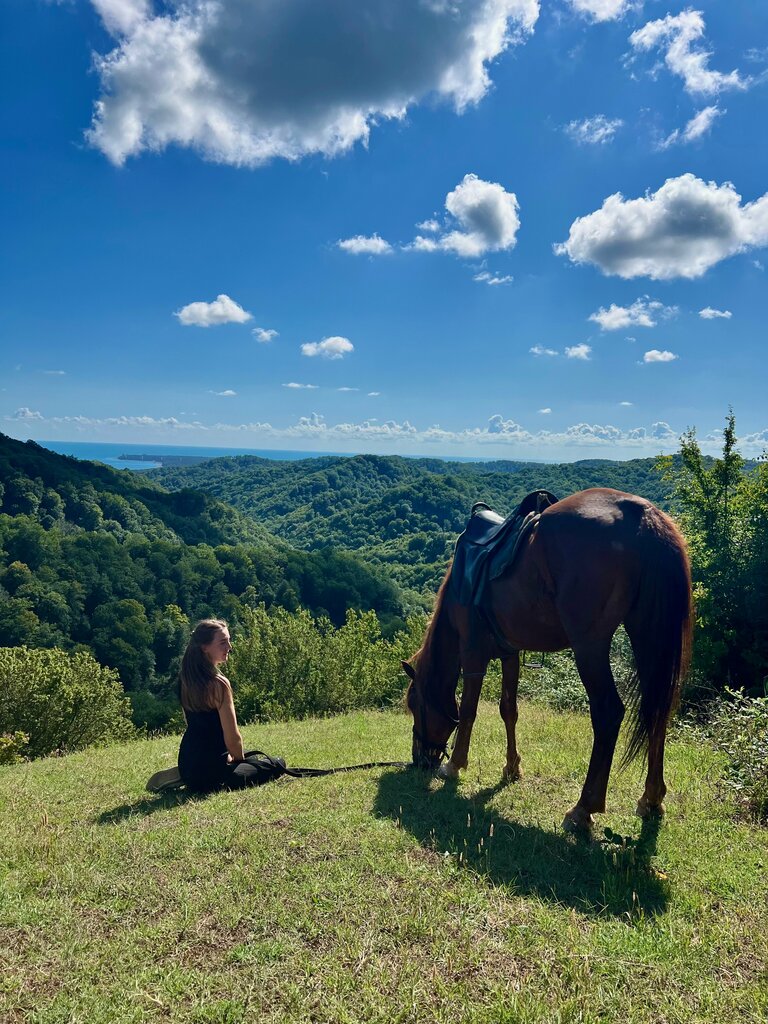At ve binicilik kulüpleri Ацангуара, Gagra Bölgesi, foto