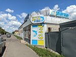Snack&Fish (Baqtyoraza Beısekbaev kóshesi No:16), balık ve deniz ürünleri  Astana'dan