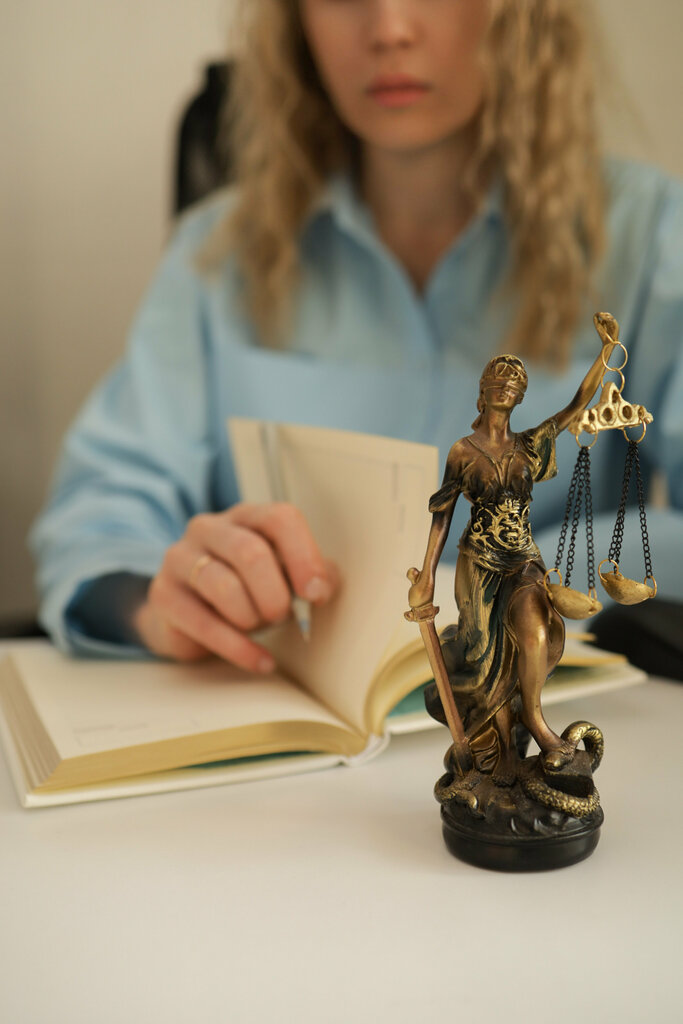 Hukuk büroları Юристы Штыхина Юлия Александровна и Виноградова Наталия Николаевна, Cherepovets, foto
