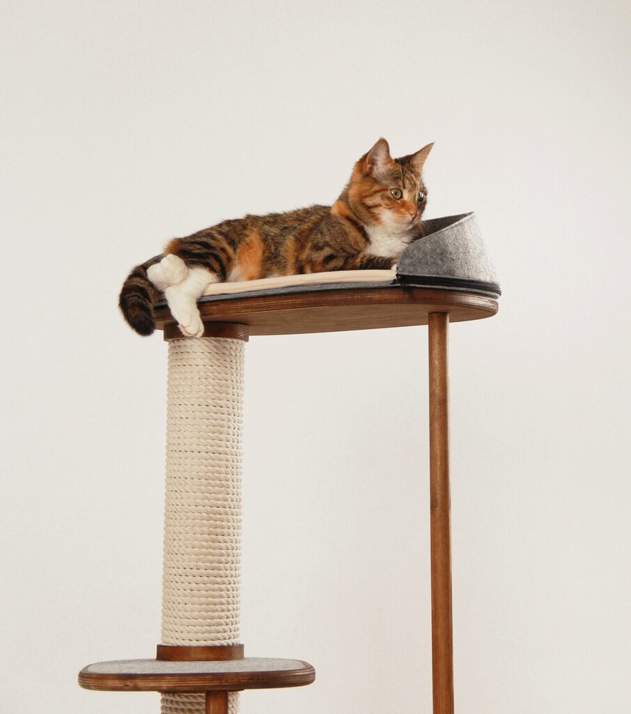 Petshop Purr Murr, Kolpino, foto