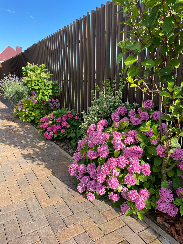 Konuk evi Maria Cherry, Krasnodarski krayı, foto