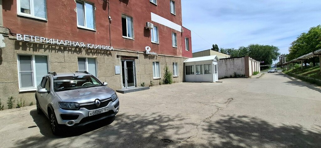 Veteriner klinikleri VitaVet, Saratov, foto
