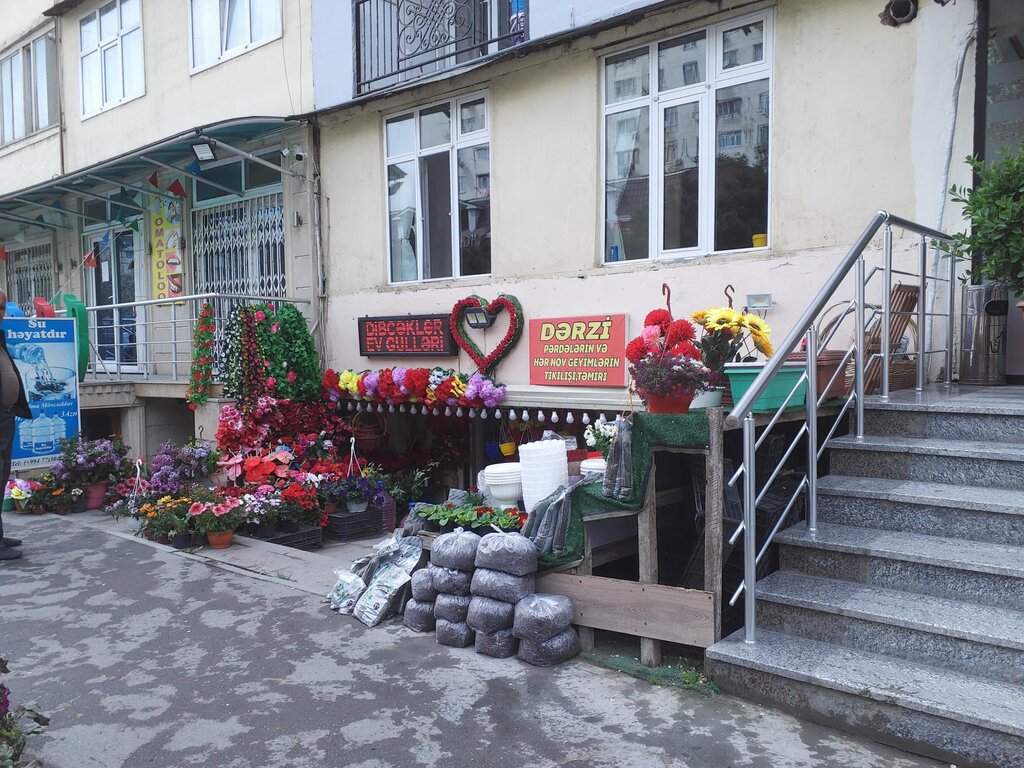 Terziler Derzi, Bakü, foto