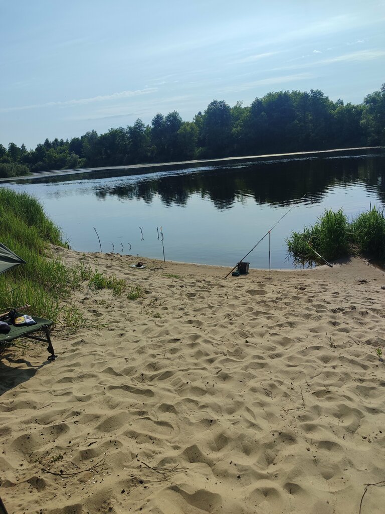 Plaj Пляж, Brianskaya oblastı, foto