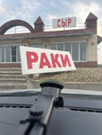 Раки рыба (Republic of Adygea, Teuchezhsky District, M-4 Don, 1352-y kilometr, 4), balık ve deniz ürünleri  Adıge Cumhuriyeti'nden