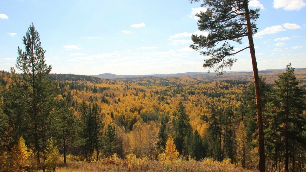 Dağ zirvesi Гора Гладкая, Sverdlovskaya oblastı, foto