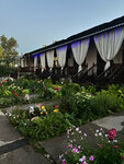 Александрия (ulitsa Bereg Volgi No:14, Marks), resort oteller, tesisler  Marx'tan