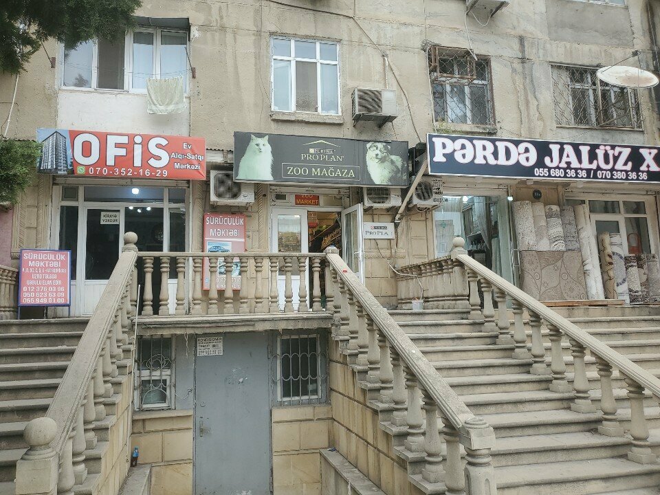 Petshop Proplan, Bakü, foto