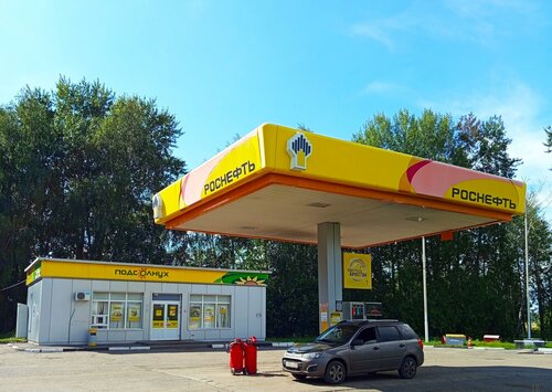 Benzin istasyonu Rosneft', Penzenskaya oblastı, foto