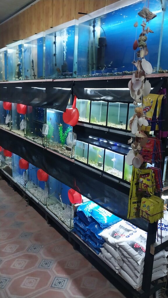 Petshop Zoo Mir, Semerkant eyaleti, foto