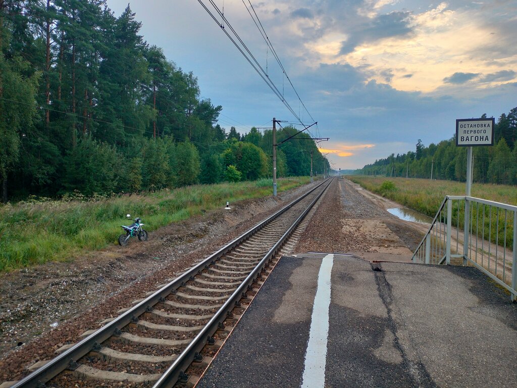Tren istasyonu остановочный пункт Твердино, Yaroslavskaya oblastı, foto