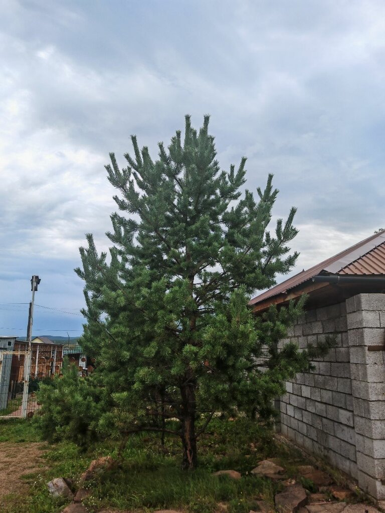 Resort oteller, tesisler Paradise, Akmola eyaleti, foto