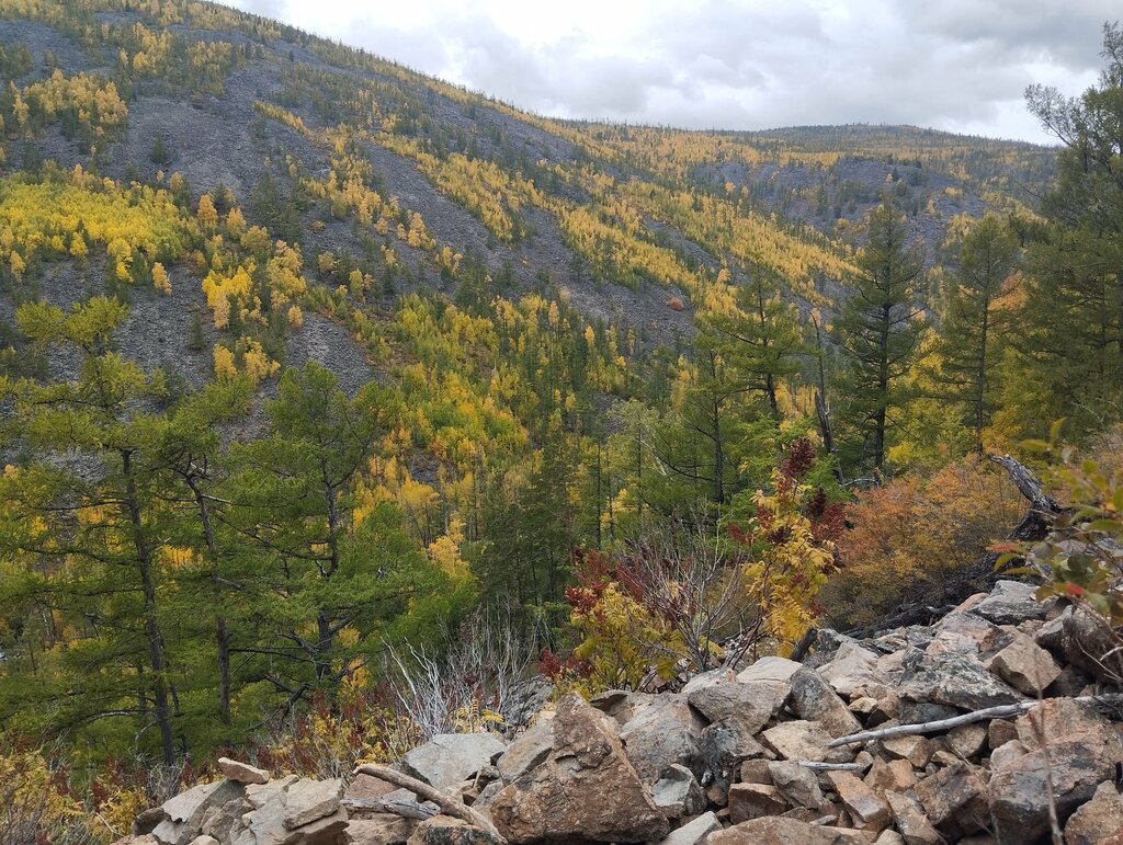 Doğa Сэндэма, Zabaykalski krayı, foto