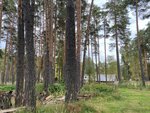 Камский лесхоз (Zavodskaya ulitsa No:38, selo Kamskiy Lespromkhoz), kerestecilik, ağaç satışı  Tataristan'dan