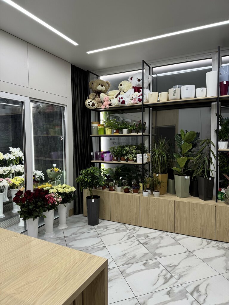 Çiçekçiler Форевер, Lyuban, foto