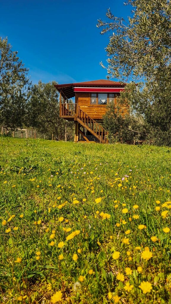 Kamp alanları Oli Camping & Bungalows, Edremit, foto