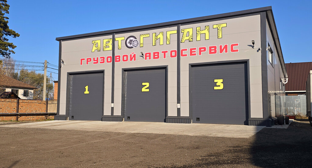 Otomobil servisi Автогигант СТО, Biysk, foto