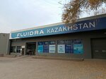 Fluidra Kazakhstan (Suyunbai Avenue No:157В), ev temizlik ürünleri  Almatı'dan