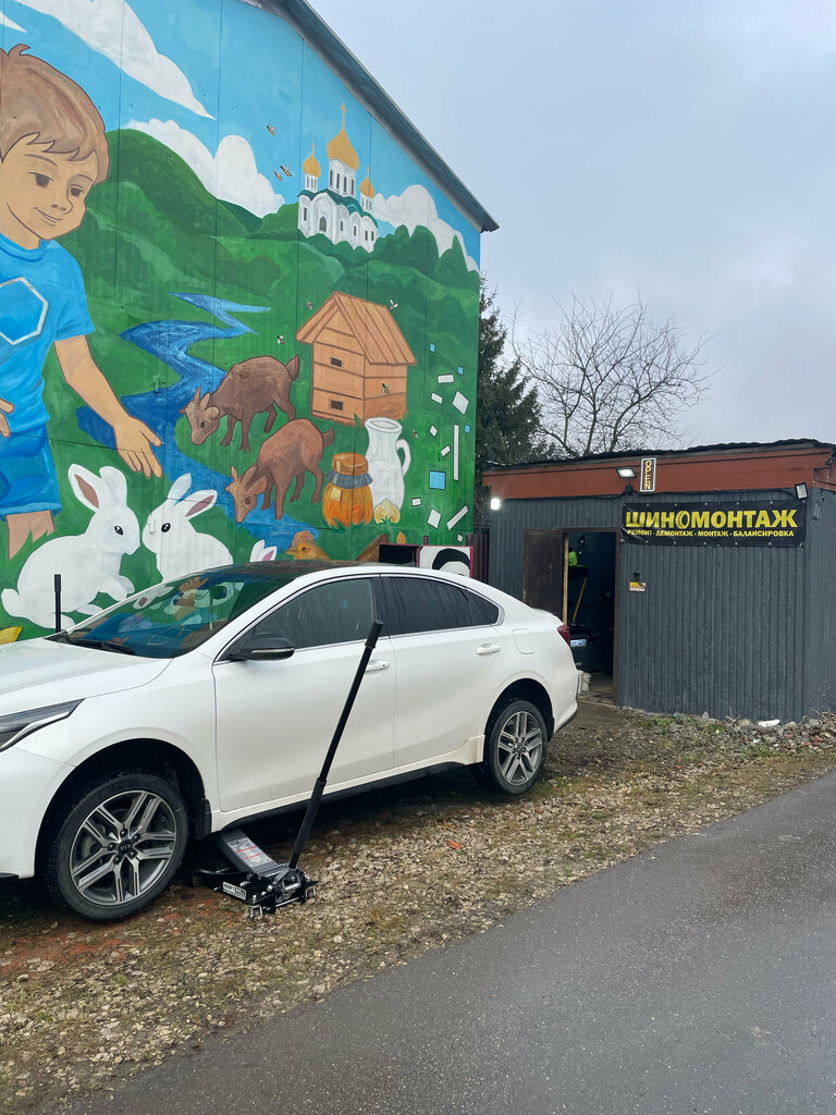 Oto lastik tamiri Zrnd Shinka, Moskova ve Moskovskaya oblastı, foto