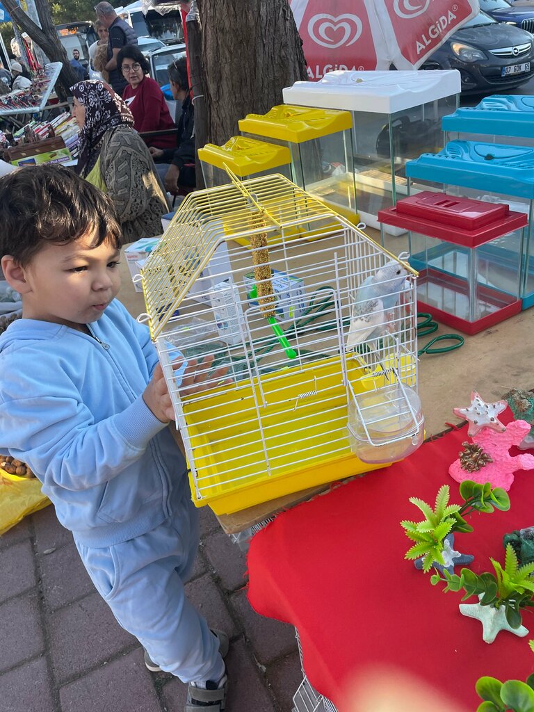 Petshop Baby Fish Aquarium, Antalya, foto