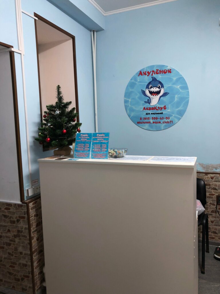 Yüzme havuzları Акуленок, Novomoskovsk, foto