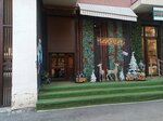 Черта (Stanislavskogo Square No:4), mimari proje firmaları  Vladikavkaz'dan