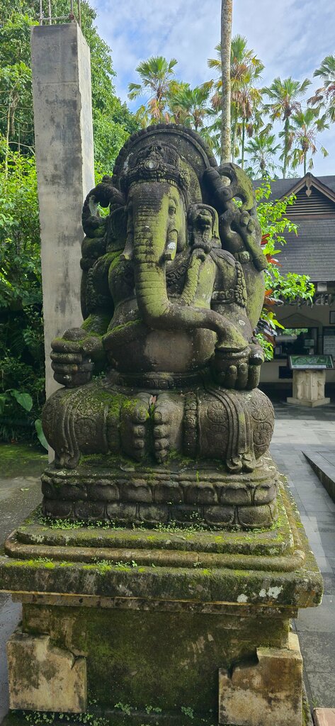 Lunapark Elephant Safari Park Lodge Bali, Bali, foto