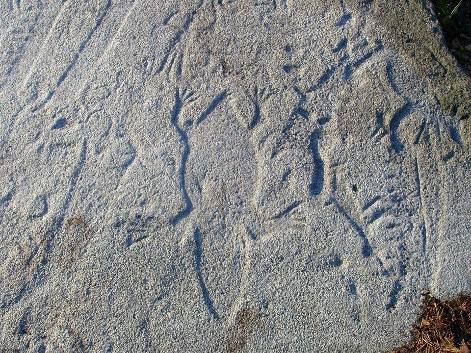 Turistik yerler Петроглифы Канозера, Murmanskaya oblastı, foto