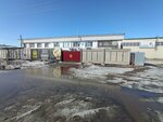 Сибирская губерния (Sotsialisticheskaya ulitsa No:23/4литВ), kanatlı hayvan ürünleri ve yumurta  Biysk'ten
