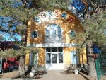 Станция им. П. Морозова (Chelyabinskiy gorodskoy okrug, Tsentralniy District, Gagarin Central Park of Culture and Leisure), tren istasyonu  Çeliabinsk'ten