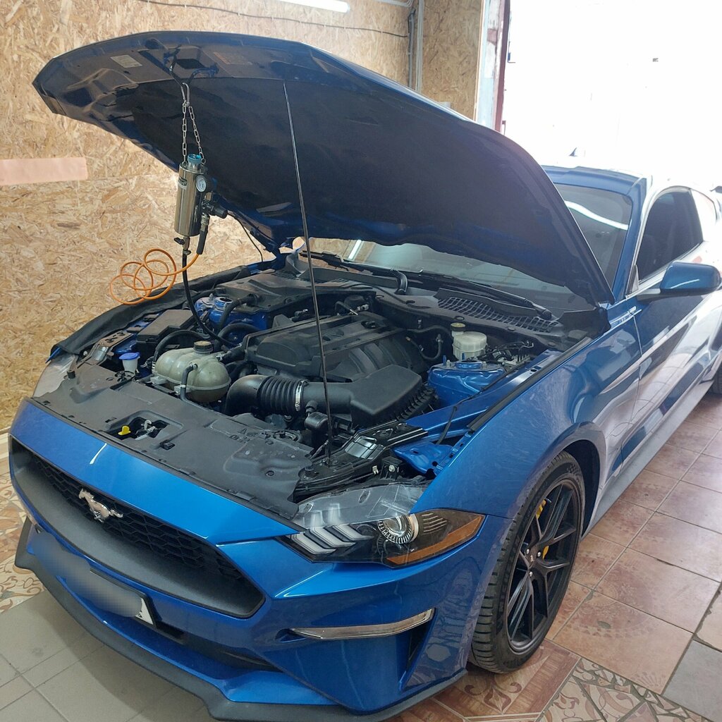 Otomobil servisi Promfors31, Belgorod, foto