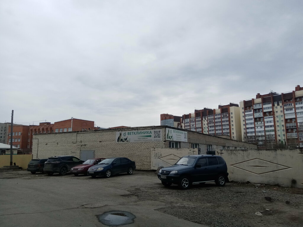 Veteriner klinikleri Ogbpou Tomsky agrarny kolledzh, Tomsk, foto