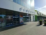 Cinecafe (Sentandrejski put No:11), restoran  Novi Sad'dan
