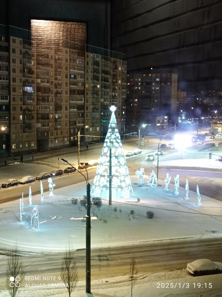 Anıt, heykel Игорь Иванович Сикорский, Saint‑Petersburg, foto