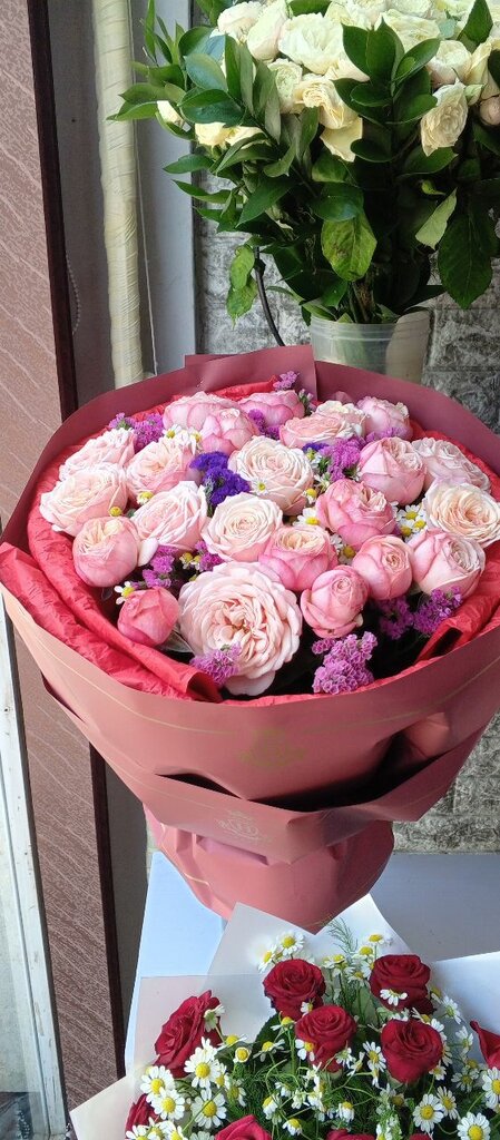 Çiçekçiler Bablis flowers, Andican, foto