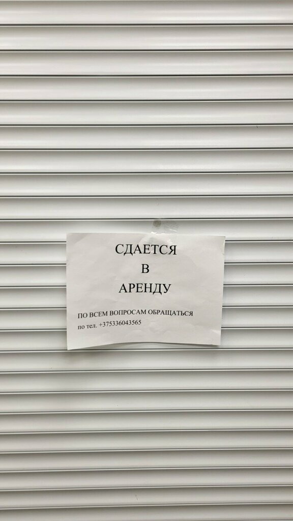 Veteriner eczaneleri Тишкин дом, Minsk, foto
