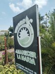 Vivero Amanecer La Maria (Valle del Cauca, Municipio de Santiago de Cali, Calle 18), fidan yetiştiriciliği  Cali'den