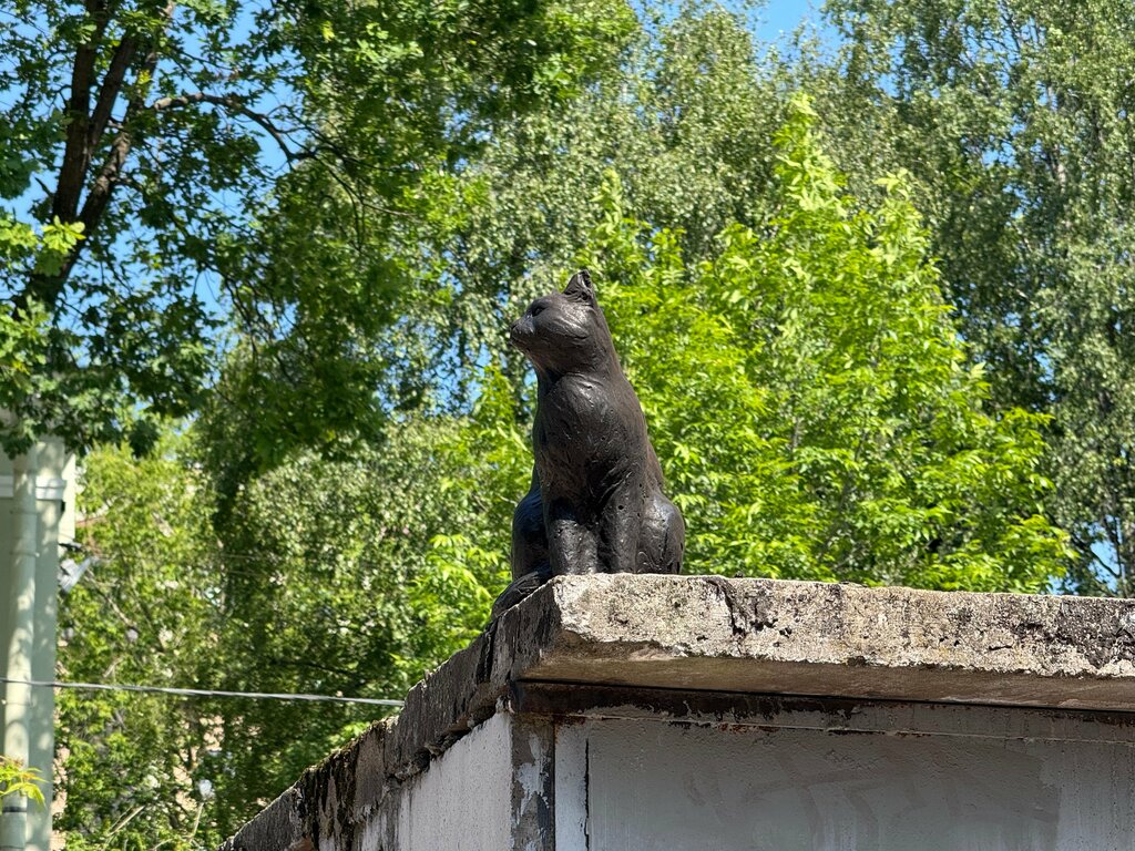 Park, sokak heykeli Кот, Saint‑Petersburg, foto