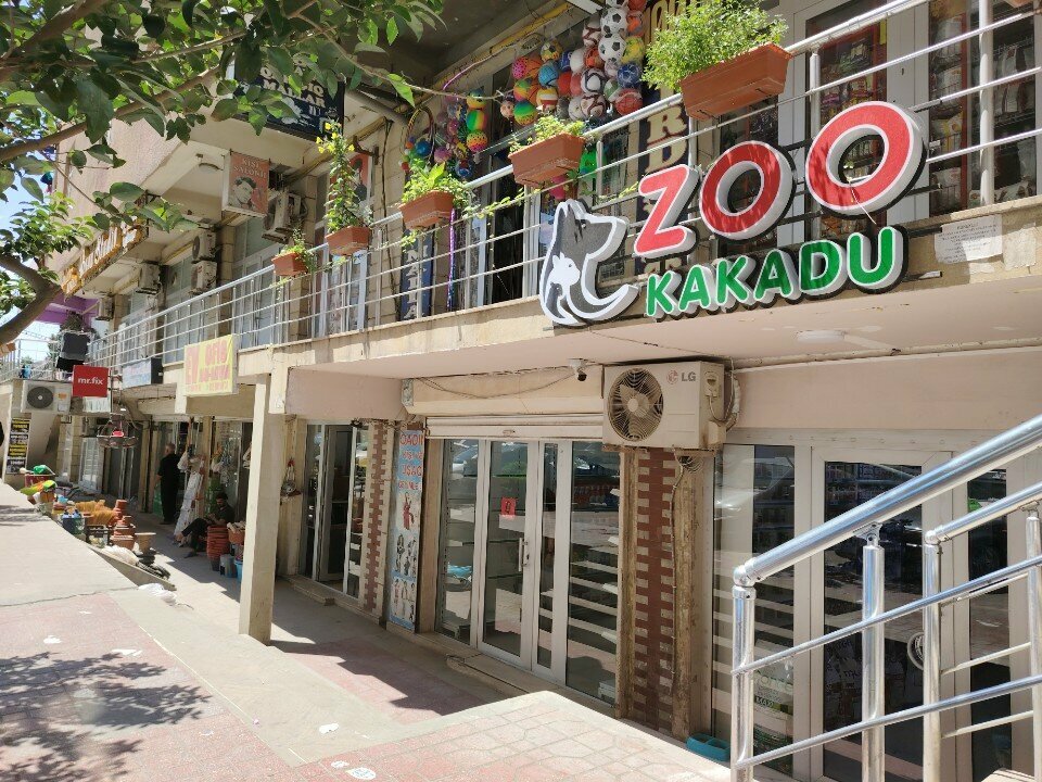 Petshop Zoo Kakadu, Bakü, foto