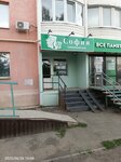 София (ulitsa imeni S.F. Tarkhova No:43), kuaförler  Saratov'dan