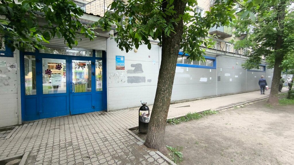 Çorap ve külotlu çorap mağazaları Магазин чулок и колготок, Yaroslavl, foto